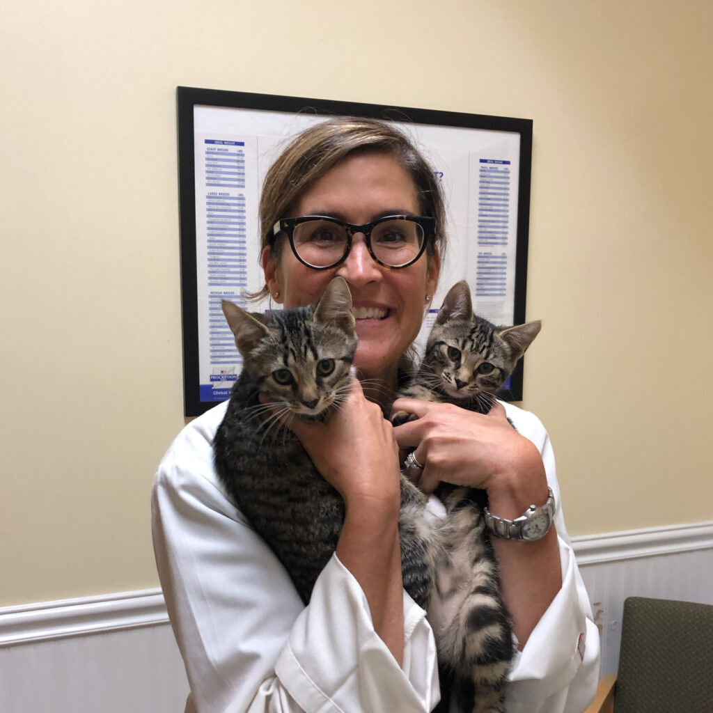 Meet Our Veterinarians | Little Silver Animal Hospital