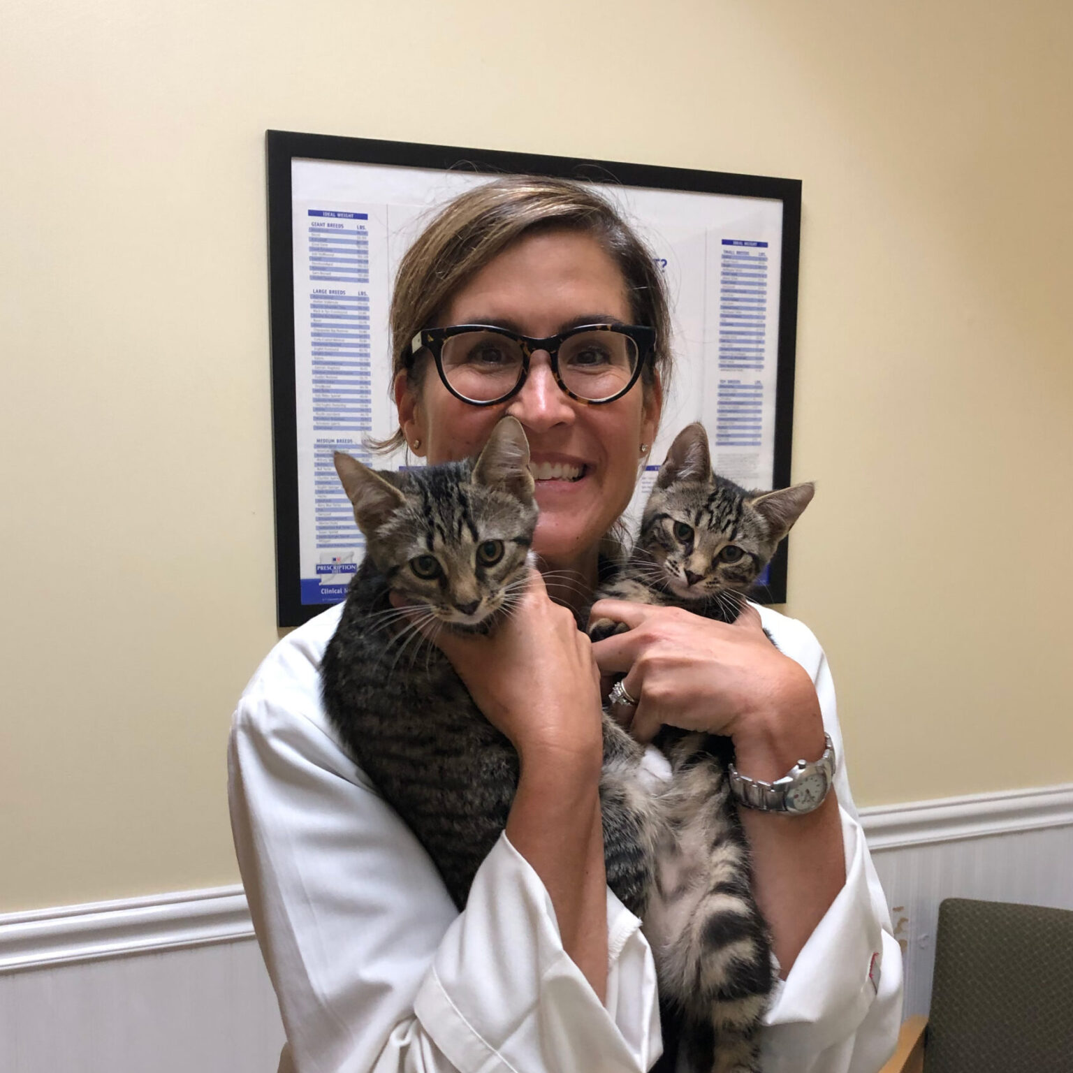 Meet Our Veterinarians | Little Silver Animal Hospital